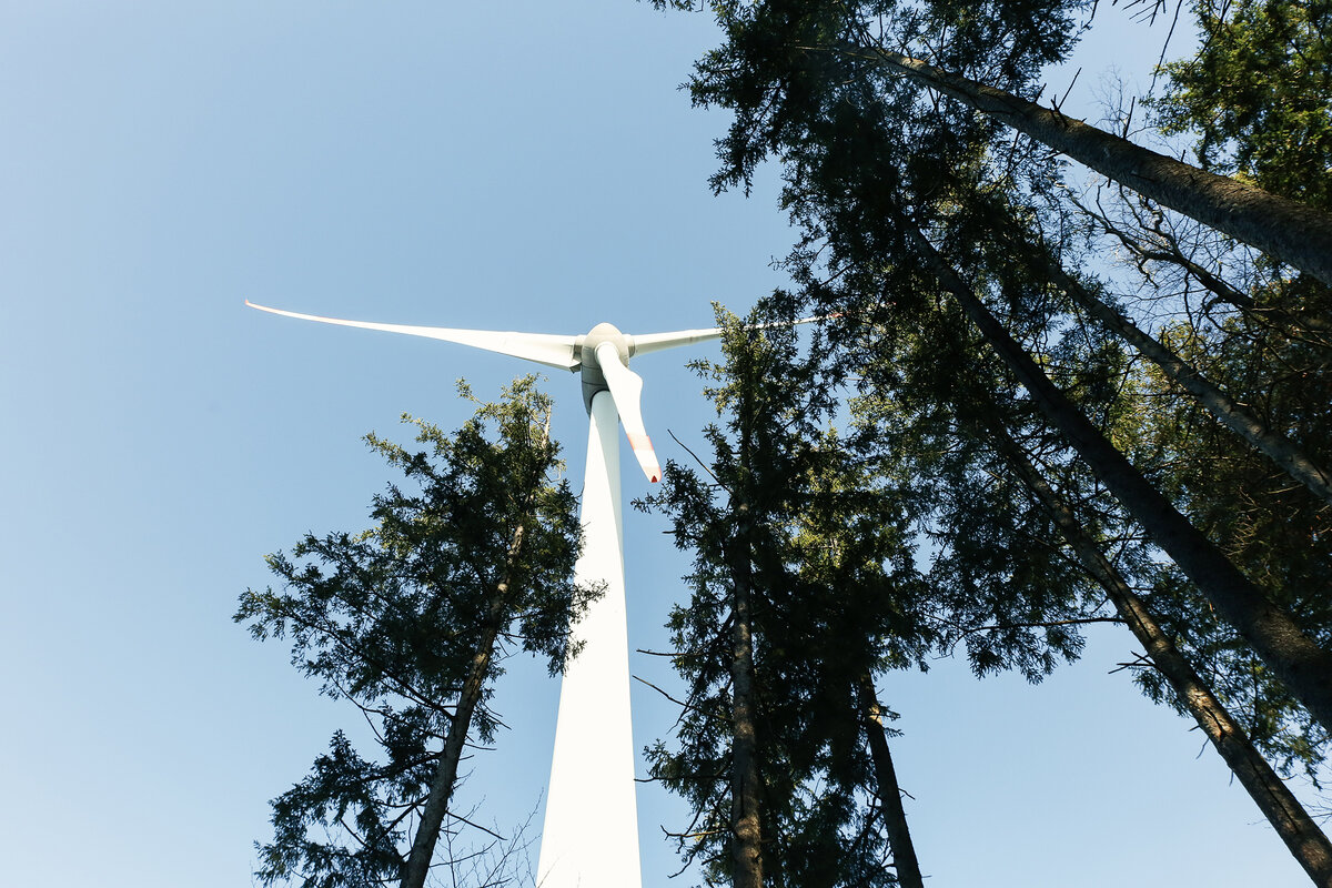 22 neue Windräder in den Staatsforsten