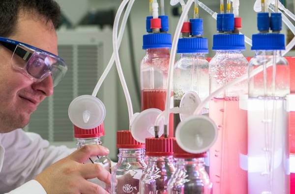 Gründungs-Boom in der bayerischen Biotech-Szene