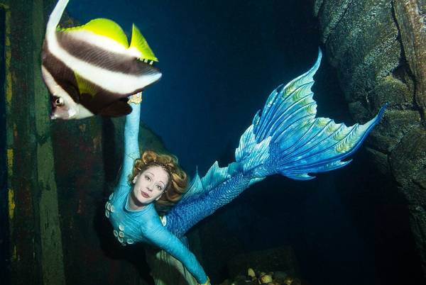 Nixe mit Doktortitel