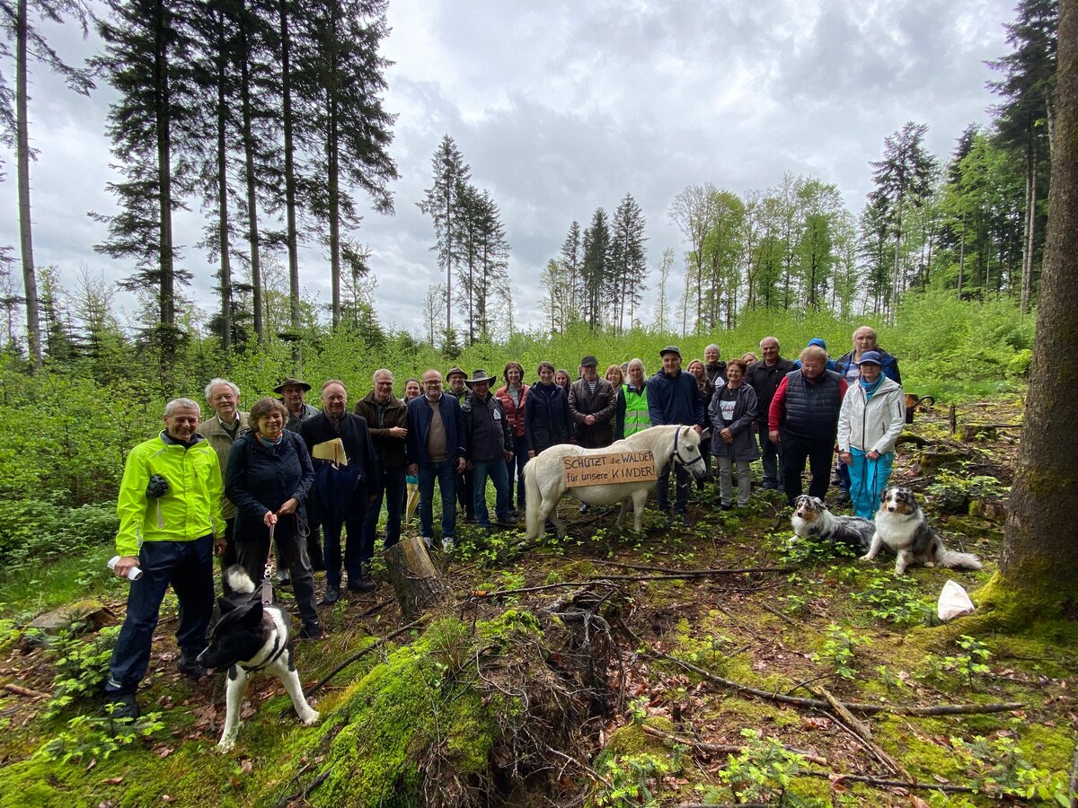 Bürgerbündnis will Passauer Wälder retten