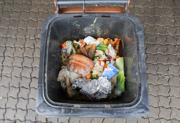 Fast 40 Prozent des Bioabfalls landen in der Restmülltonne