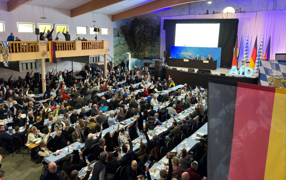 AfD beschließt Resolution zur Remigration
