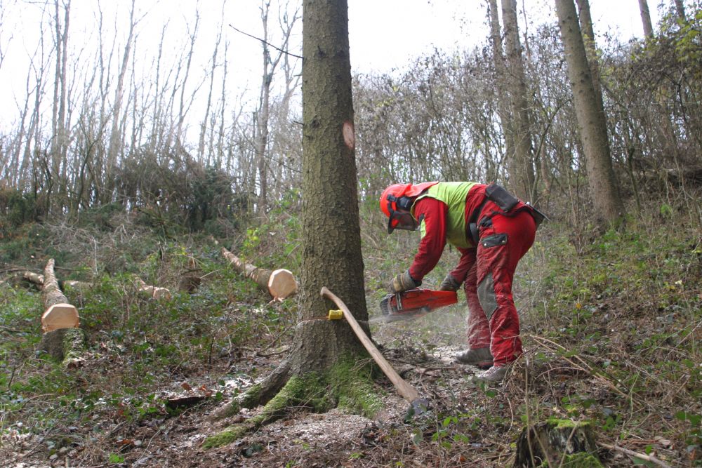 Allein arbeitende Personen im Notfall retten